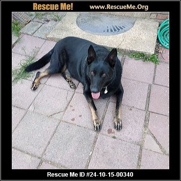 - Mississippi Dog Rescue - ADOPTIONS - Rescue Me!