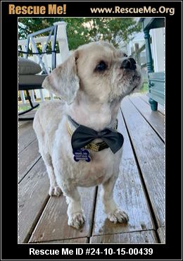 - Delaware Dog Rescue - ADOPTIONS - Rescue Me!