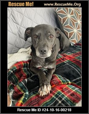 - Wisconsin Dog Rescue - ADOPTIONS - Rescue Me!
