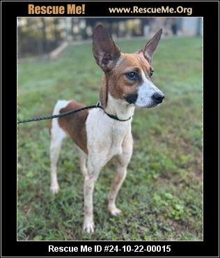 - South Carolina Dog Rescue - ADOPTIONS - Rescue Me!