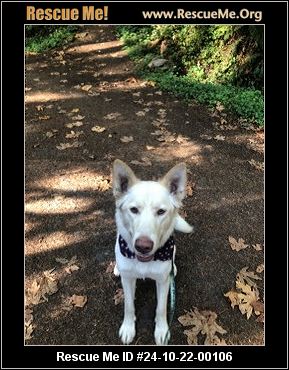 - Oregon Mutt Rescue - ADOPTIONS - Rescue Me!