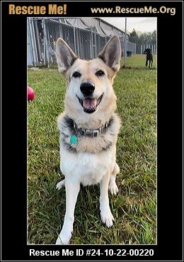 - Texas German Shepherd Rescue - ADOPTIONS - Rescue Me!