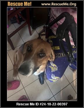 - Virginia Dog Rescue - ADOPTIONS - Rescue Me!