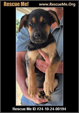 - Oklahoma Dog Rescue - ADOPTIONS - Rescue Me!