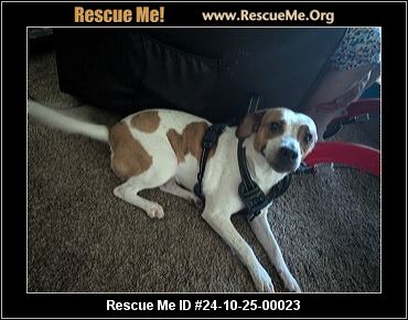 - Idaho Dog Rescue - ADOPTIONS - Rescue Me!