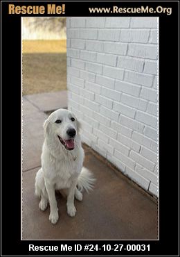 - Alaska Dog Rescue - ADOPTIONS - Rescue Me!