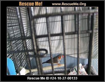 - Pennsylvania Pet Bird Rescue - ADOPTIONS - Rescue Me!