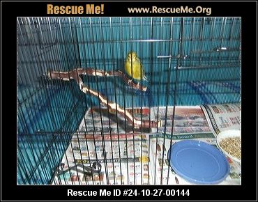 - Pennsylvania Pet Bird Rescue - ADOPTIONS - Rescue Me!