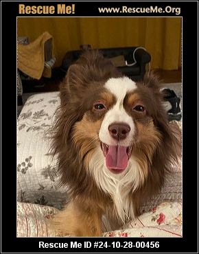 - Nebraska Dog Rescue - ADOPTIONS - Rescue Me!