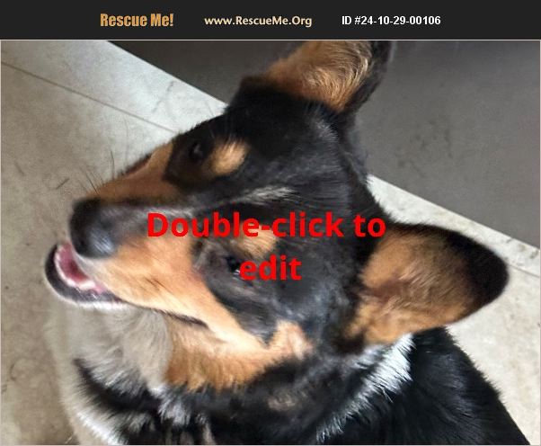 ADOPT 24102900106 ~ Corgi Rescue ~ Janesville, WI