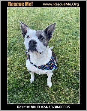 - Utah Dog Rescue - ADOPTIONS - Rescue Me!