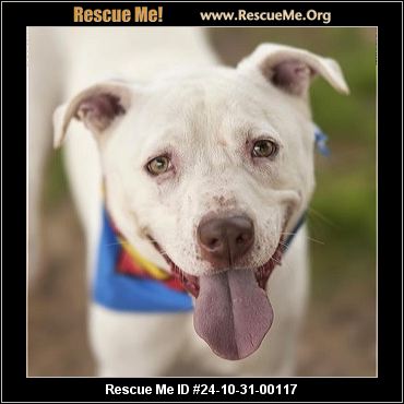 - Texas Mutt Rescue - ADOPTIONS - Rescue Me!