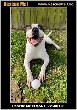 - Texas Mutt Rescue - ADOPTIONS - Rescue Me!