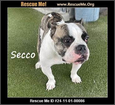 - Texas Mutt Rescue - ADOPTIONS - Rescue Me!
