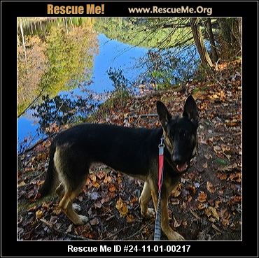 - West Virginia Dog Rescue - ADOPTIONS - Rescue Me!