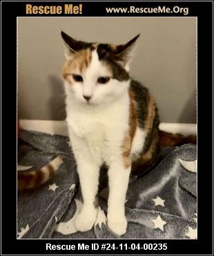 - Missouri Cat Rescue - ADOPTIONS - Rescue Me!