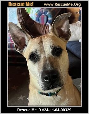 - Maine Dog Rescue - ADOPTIONS - Rescue Me!