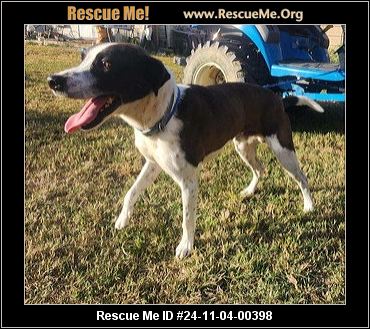 - New York Dog Rescue - ADOPTIONS - Rescue Me!