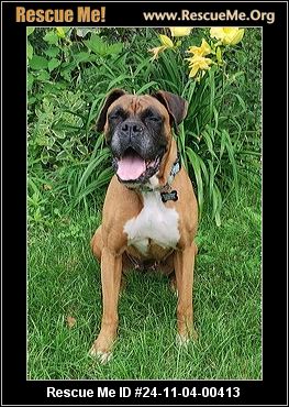 - Iowa Dog Rescue - ADOPTIONS - Rescue Me!