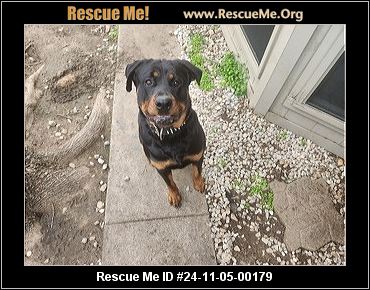 - Texas Rottweiler Rescue - ADOPTIONS - Rescue Me!