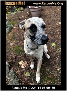 - Oregon Dog Rescue - ADOPTIONS - Rescue Me!