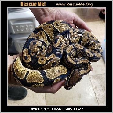 - California Reptile/Amphibian Rescue - ADOPTIONS - Rescue Me!