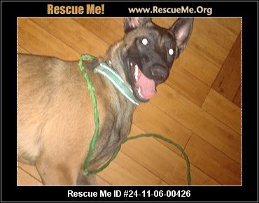 - South Carolina Dog Rescue - ADOPTIONS - Rescue Me!