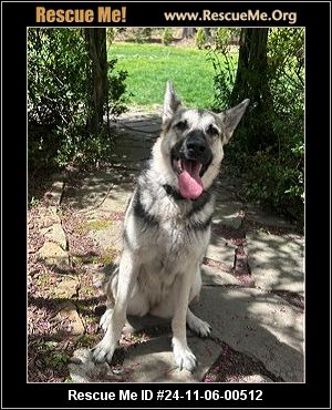 - Pennsylvania German Shepherd Rescue - ADOPTIONS - Rescue Me!