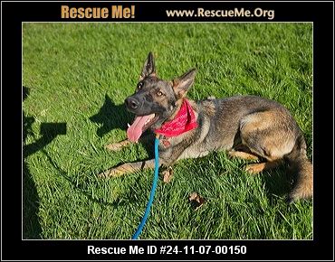 - Oregon Dog Rescue - ADOPTIONS - Rescue Me!