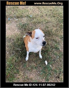 - Texas Boxer Rescue - ADOPTIONS - Rescue Me!