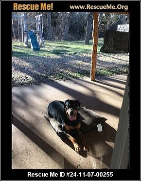 - Texas Rottweiler Rescue - ADOPTIONS - Rescue Me!