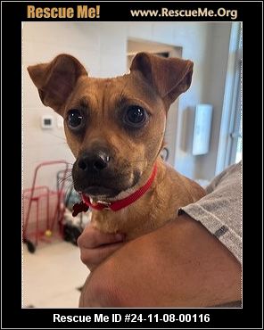 - Georgia Dog Rescue - ADOPTIONS - Rescue Me!