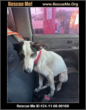 - California Corgi Rescue - ADOPTIONS - Rescue Me!