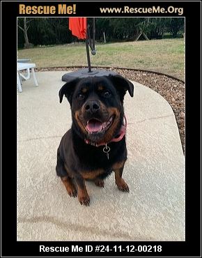 - Texas Rottweiler Rescue - ADOPTIONS - Rescue Me!