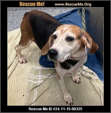 - Indiana Dog Rescue - ADOPTIONS - Rescue Me!