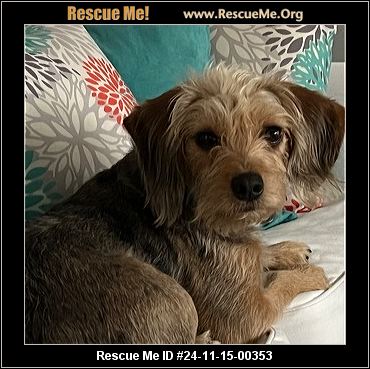- Indiana Dog Rescue - ADOPTIONS - Rescue Me!