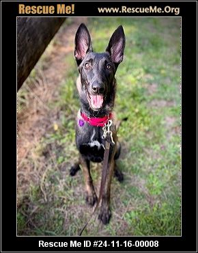 - Oregon Dog Rescue - ADOPTIONS - Rescue Me!