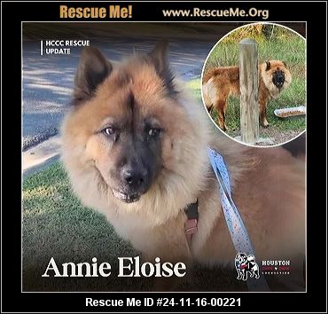 - Texas Chow Chow Rescue - ADOPTIONS - Rescue Me!