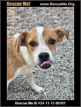 - Utah Dog Rescue - ADOPTIONS - Rescue Me!