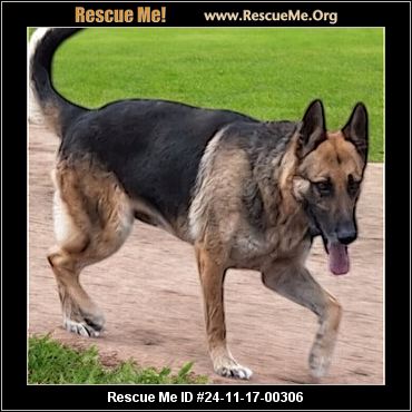 - Pennsylvania German Shepherd Rescue - ADOPTIONS - Rescue Me!