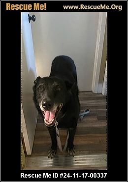 - California Border Collie Rescue - ADOPTIONS - Rescue Me!