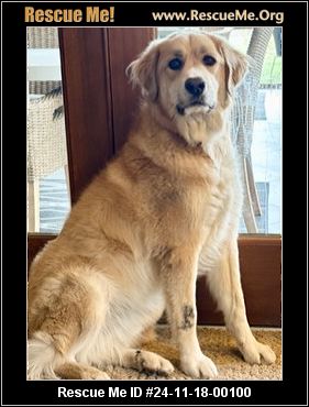 - Colorado Great Pyrenees Rescue - ADOPTIONS - Rescue Me!