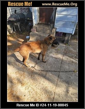 - Pennsylvania Dog Rescue - ADOPTIONS - Rescue Me!