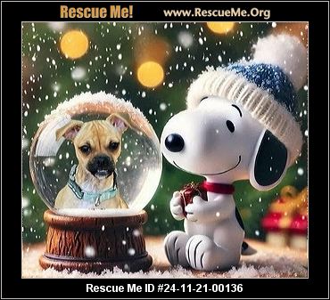 - Minnesota Dog Rescue - ADOPTIONS - Rescue Me!