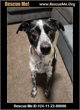 - Utah Dog Rescue - ADOPTIONS - Rescue Me!