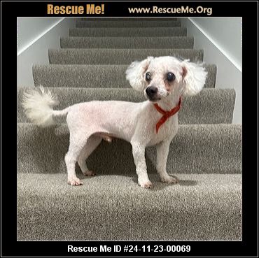 - Alabama Dog Rescue - ADOPTIONS - Rescue Me!