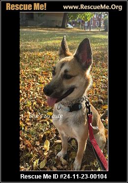 - Pennsylvania German Shepherd Rescue - ADOPTIONS - Rescue Me!