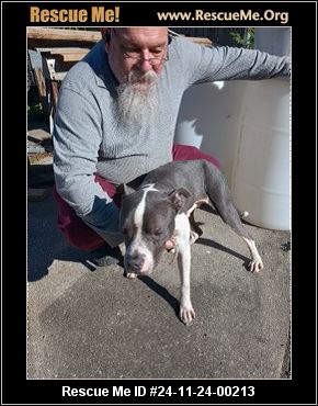 - Louisiana Dog Rescue - ADOPTIONS - Rescue Me!