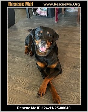 - Texas Rottweiler Rescue - ADOPTIONS - Rescue Me!