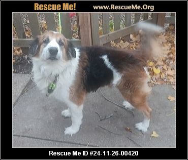 - Wisconsin Dog Rescue - ADOPTIONS - Rescue Me!